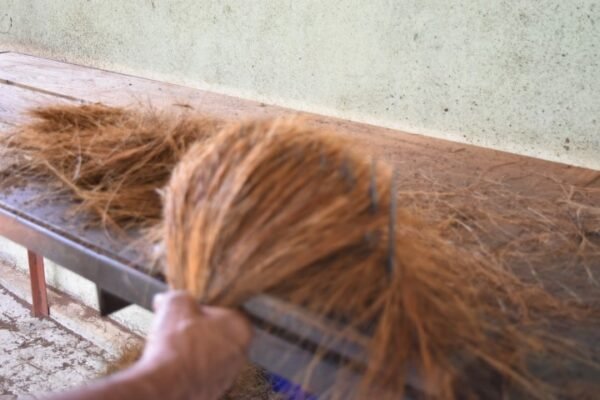 Coconut Development Authority (CDA) has initiated an investment ...